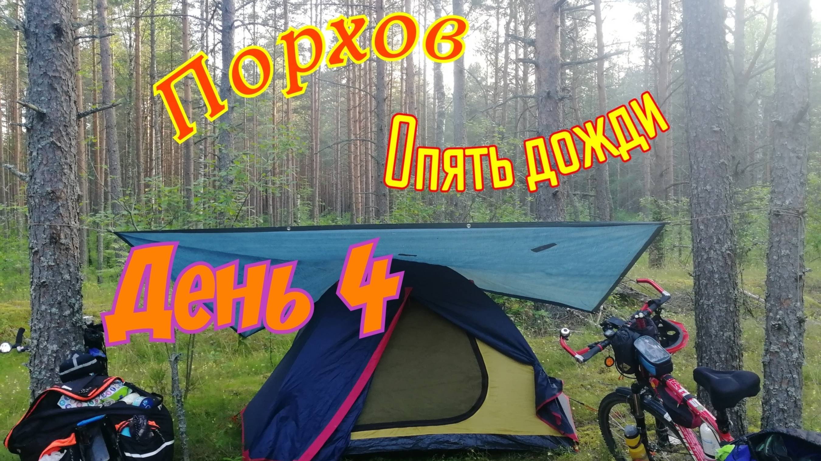 День 4. Катим в 🇧🇾 🇷🇺 🚴_♀️. Порхов и сосновая стоянка