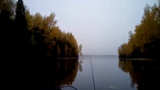 Выход в Свирь по реке Яндеба.