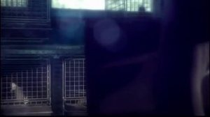 Hitman Absolution Birdie Scene