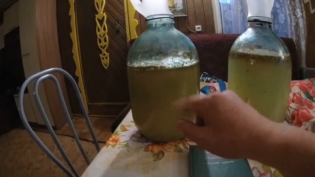 Овсяный квас