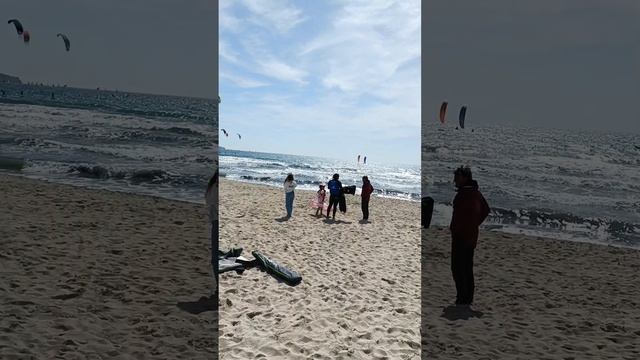 Регата принцессы Софии ⛵ Майорка  Апрель  ГидМайорка #shorts
