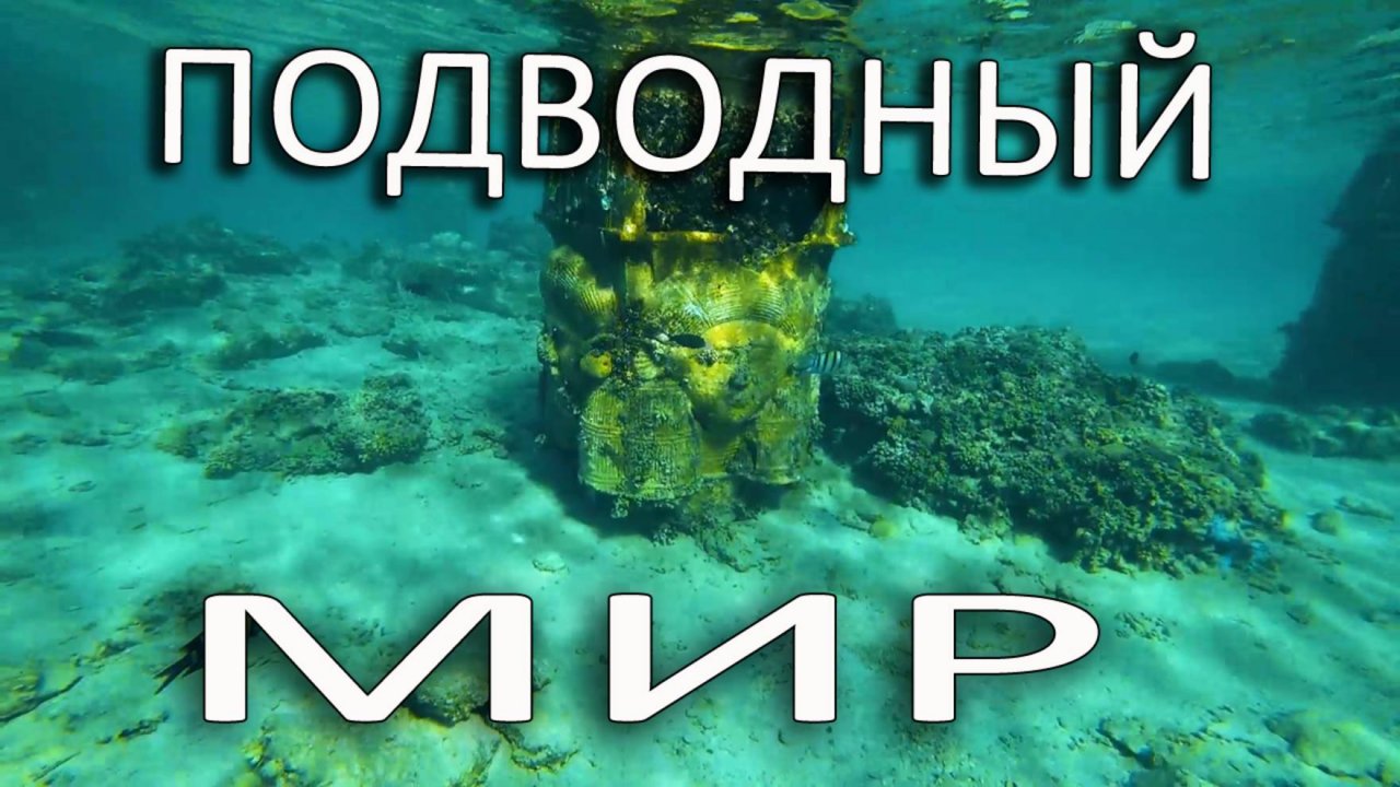 Подводный мир