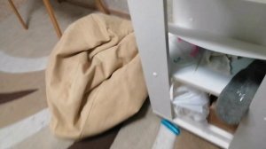 Артём Севастьянов