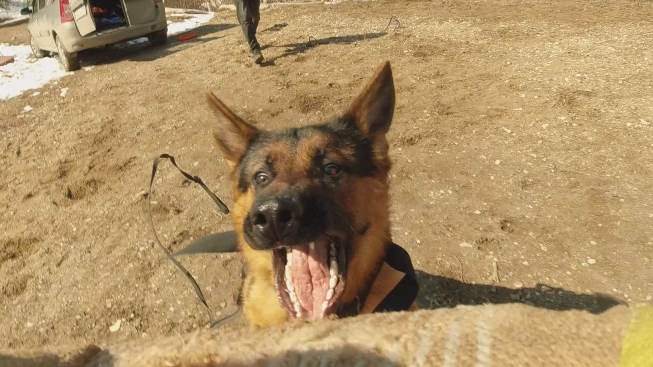 Защитно-караульная служба