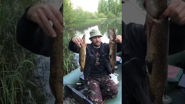 Три главных правила на рыбалке#рыбак#рыбалка#советы#жиза#топ