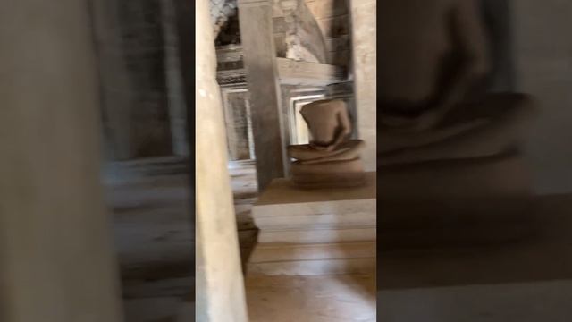 Та Пром / гуляем по храму расхитительницы гробниц / Камбоджа / археологический парк Ангкор Тхом