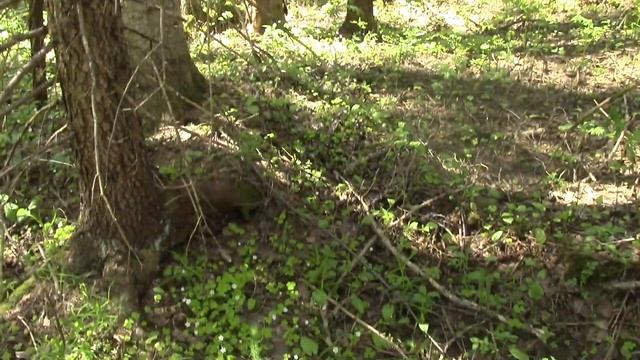 Тайные практики