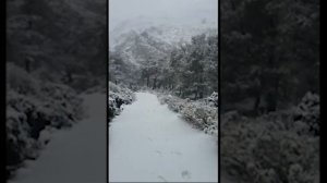 ❄ Снегопад на Майорке ☃ Зима на Майорке ГидМайорка   #shorts