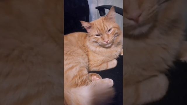 Хватит меня снимать