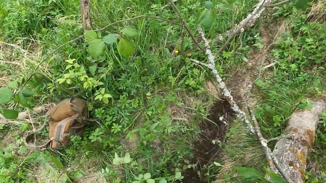 Снимаю с дерева блесну Смит пюре.