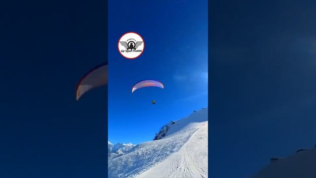 Параплан и лыжники #shorts
