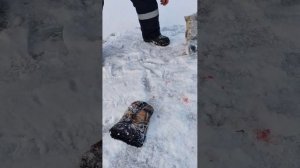 3.5 кг счастья)