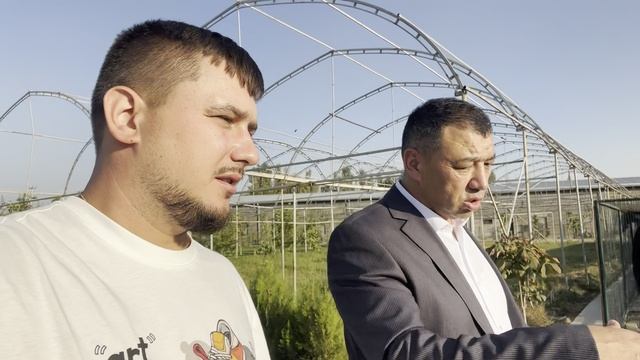БИЗНЕС В УЗБЕКИСТАНЕ / ГРИБЫ ШАМПИНЬОНЫ