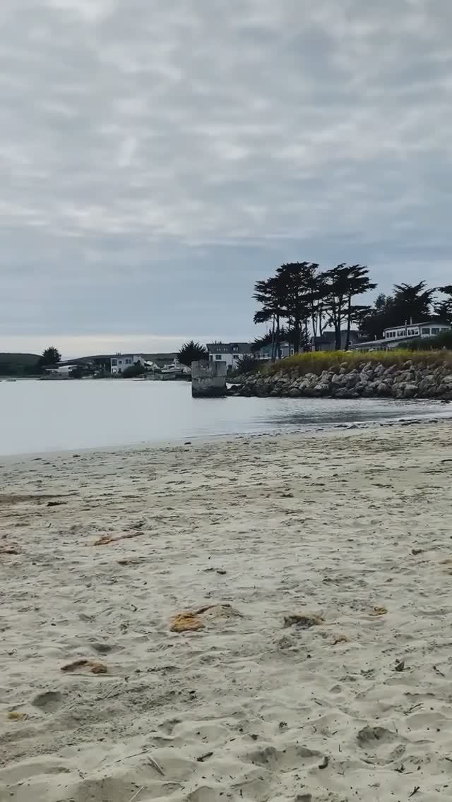 Берег Тихого океана, Калифорния. #графика #скетч #искусство #хобби #татьянаалексеева