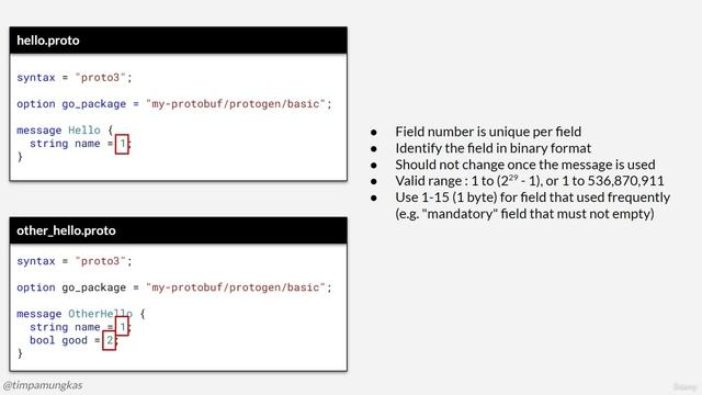 10 - Theory Hello Protobuf