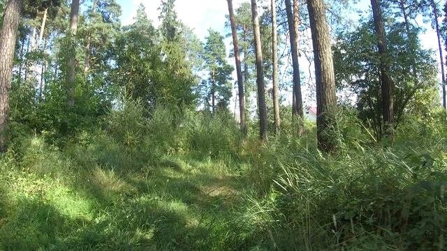 На велосипеде. Частный сектор. Жуковка. 27.07.2024.
