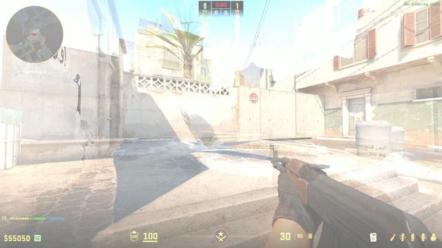 [cs2]-[dust2]-[флеш]-[с-зиги-на-шорт]