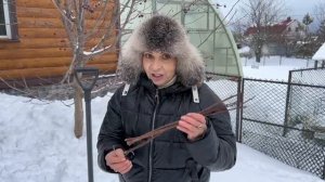 Заготавливаем черенки для весенних прививок