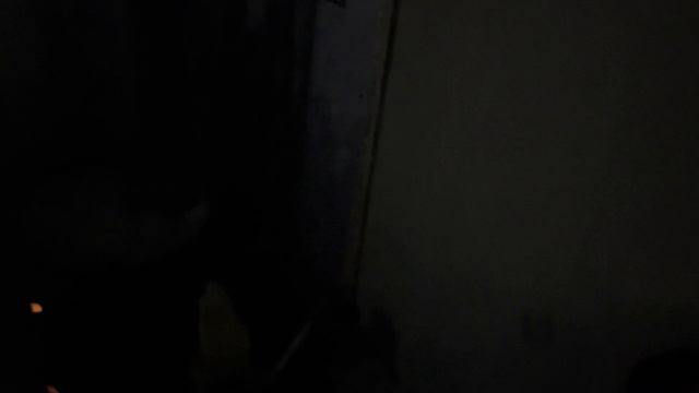 "Съемки новому году быть" день 2