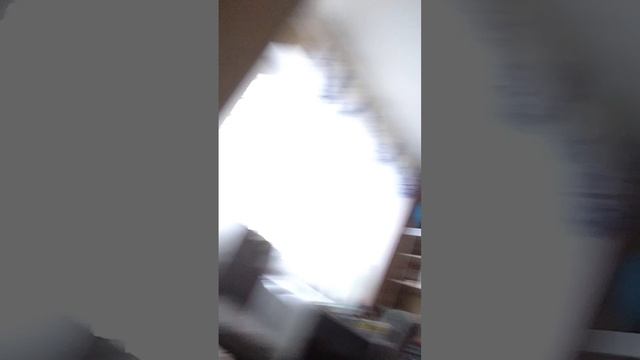 scene_output.mp4