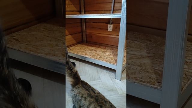 Стеллаж для рассады