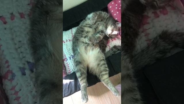 Первый понедельник февраля