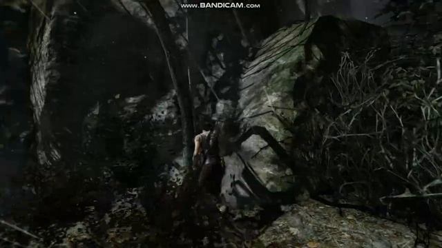 Tomb Raider#2
