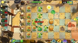 Plants vs Zombies 2025 Ancient Egupt Day 3 Растения против Зомби 2025 Древний Египет День 3