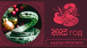 БАЦЗЫ ПРОГНОЗ 2025: ПРИСПОСОБЛЯЕМОСТЬ И АКТИВНОСТЬ