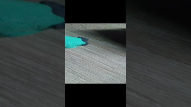 07-01-2025