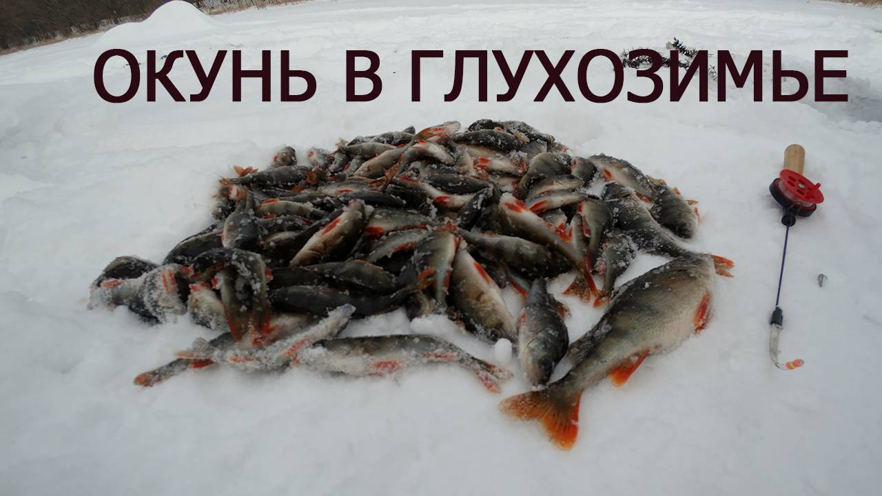 Ловля окуня в глухозимье. Тест эхолота.