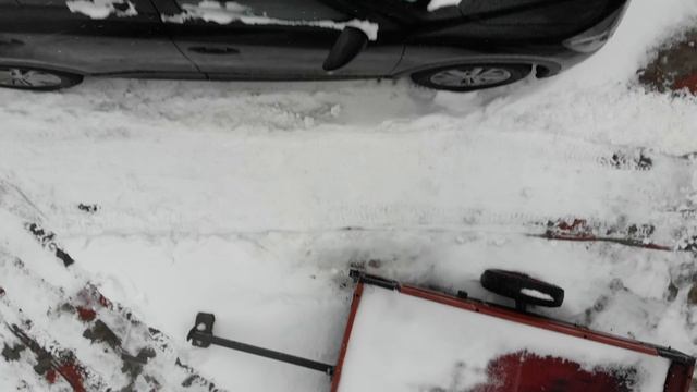 2021-11-21 Дрон и Питомцы - Посадка и радушная встреча - 4 K