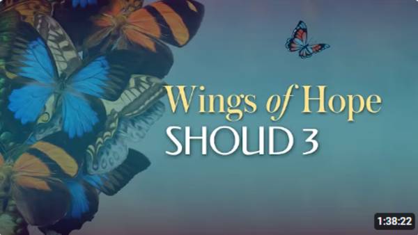 Серия Крылья Надежды - Шауд 03_14.12.2024