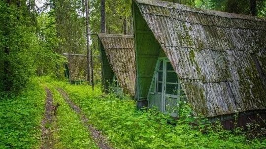 Заброшенный летний домик