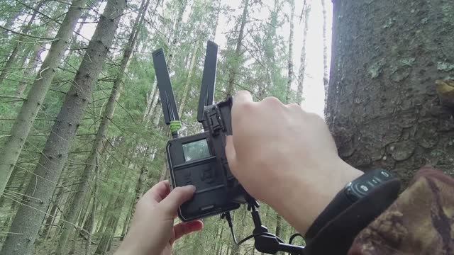 Что там у зверей в диком лесу?  Третий выпуск.