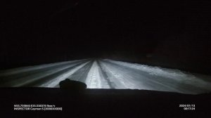 Лоси на дороге из Петрозаводска в Можайск