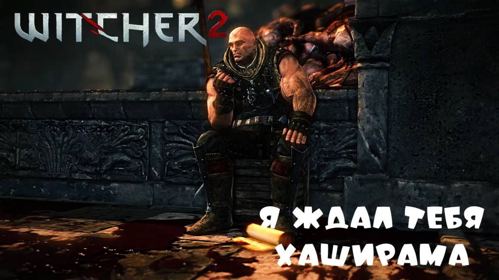 Прохождение The Witcher 2 #39 К сожалению финал