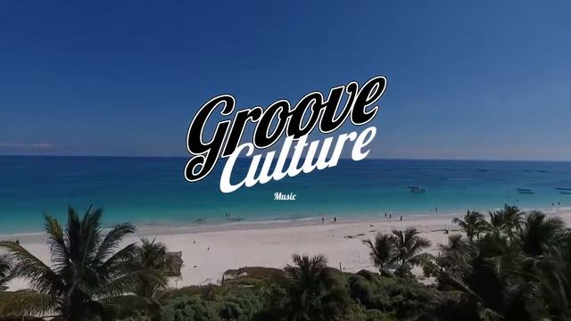 The Best Groovy Disco House Mix (Funky Vocal House)