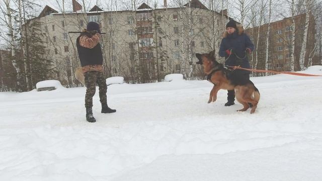 Защитно-караульная служба