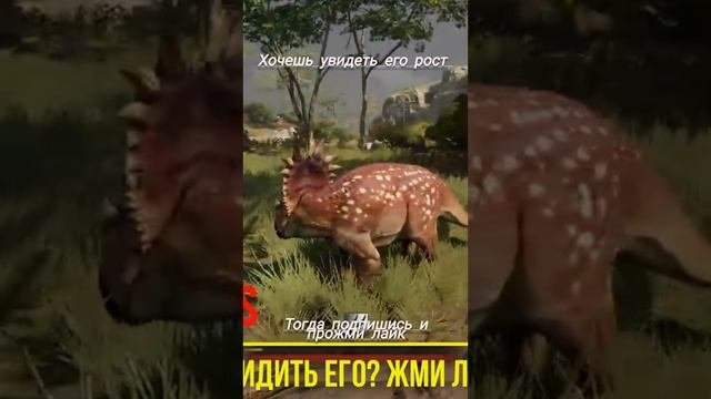 PoT. Ставь лайк , подпишись на канал если тебе интересен этот птицетазовый травожуй!