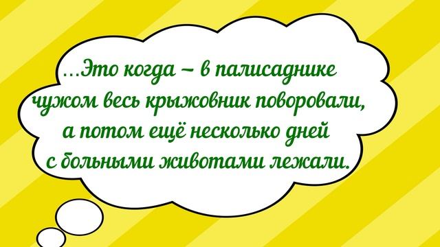 Наше счастливое детство.
