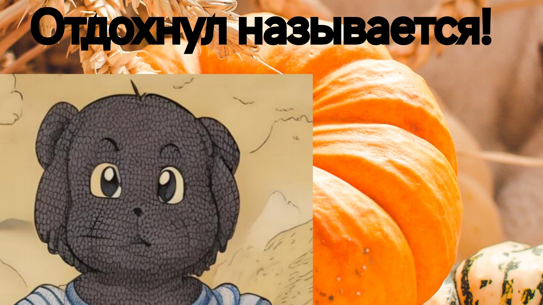 отдохнул называется🤣🤣🤣