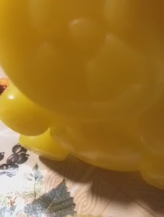 Ура !!!!!!!!!!!!!!!!!!!!!!!!!!!!!!!!!!!!!!!!!! Желтобрюх в доме нашем