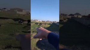 Земельный участок Дагестан под промышленную постройку