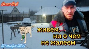 Из Германии в Россию. Живем, ни о чем не жалеем...