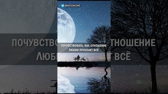 Любовь ЕСТЬ #shorts #любовь #саморазвитие