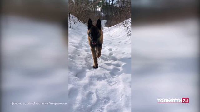 «В поле зрения». Анастасия Генералова и Старк 03.04.2024
