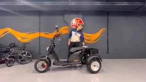 Электроскутер Rockwild M6 TRIKE 20AH