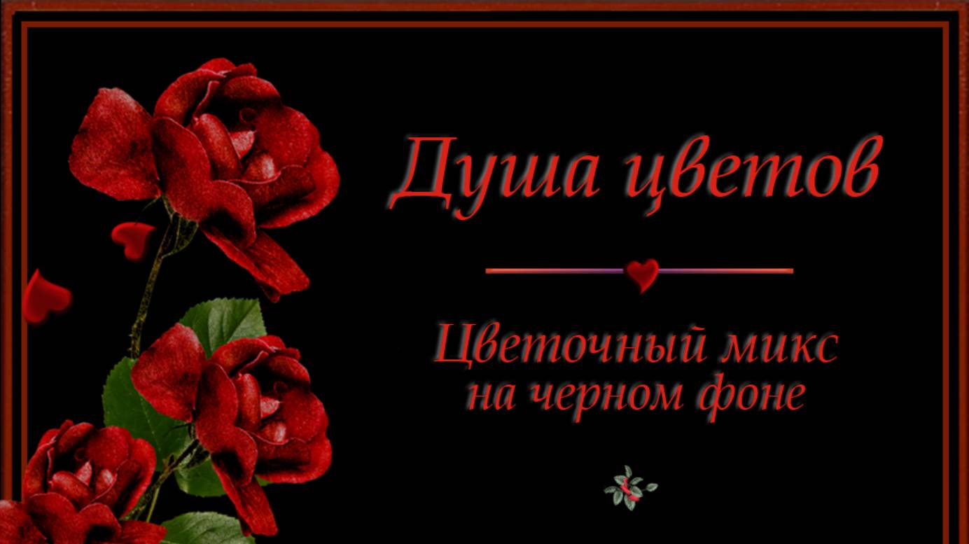 ДУША  ЦВЕТОВ (Цветочный микс на черном фоне)