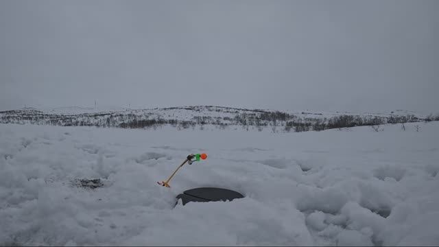 Нашел неизвестное гольцовое озеро.  Хороший клев удивил!